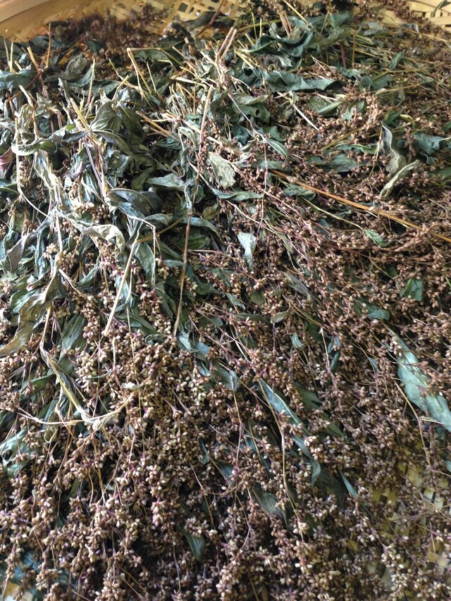 【1点限定】本藍染め麻風呂敷 小（グラデーション） | iichi 日々の暮らしを心地よくするハンドメイドやアンティークのマーケットプレイス