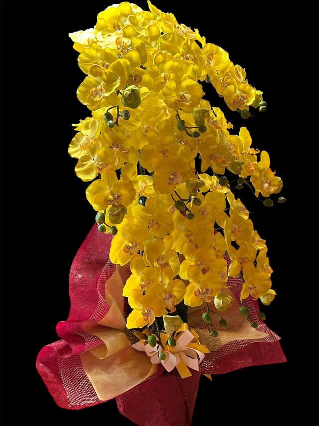 光触媒 人工観葉植物 ウォールグリーン フェイクグリーン 胡蝶蘭黄色112 | iichi 日々の暮らしを心地よくするハンドメイドやアンティークのマーケットプレイス