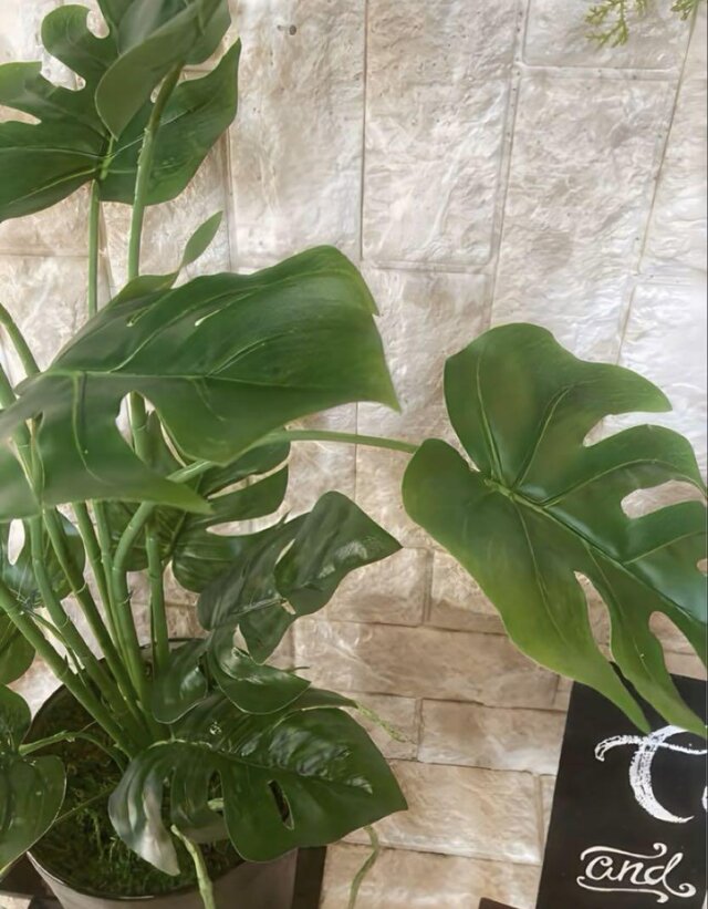 光触媒 人工観葉植物 ウォールグリーン フェイクグリーン pモンステラjp | iichi 日々の暮らしを心地よくするハンドメイドやアンティークのマーケットプレイス