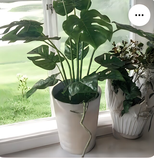 光触媒 人工観葉植物 ウォールグリーン フェイクグリーン pモンステラ白 | iichi 日々の暮らしを心地よくするハンドメイドやアンティークのマーケットプレイス