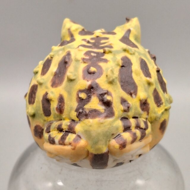 200gAs ウツロブネツノガエル | iichi 日々の暮らしを心地よくするハンドメイドやアンティークのマーケットプレイス