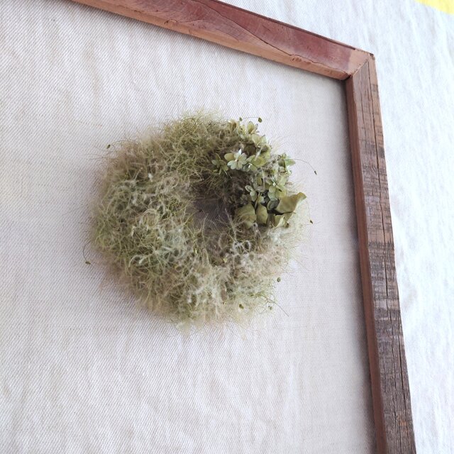 季節のリース：スモークツリー #2 | iichi 日々の暮らしを心地よくするハンドメイドやアンティークのマーケットプレイス