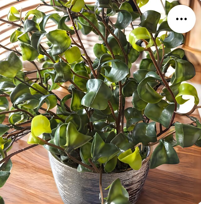 光触媒 人工観葉植物 ウォールグリーン フェイクグリーン ベンジャミンバロックK | iichi 日々の暮らしを心地よくするハンドメイドやアンティークのマーケットプレイス