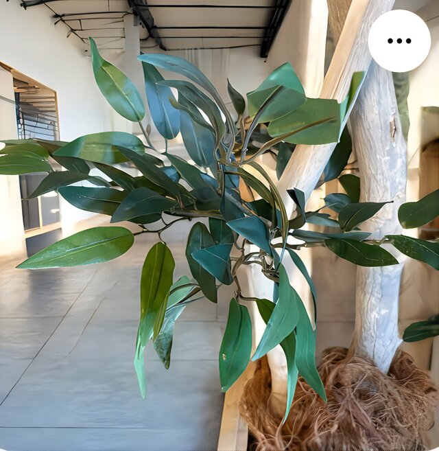 光触媒 人工観葉植物 ウォールグリーン フェイクグリーン イタリアンベンジャミン18065 | iichi 日々の暮らしを心地よくするハンドメイドやアンティークのマーケットプレイス