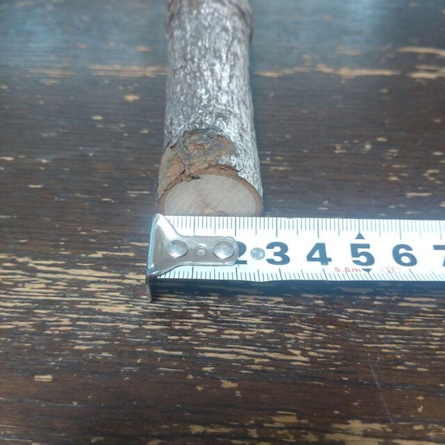 止まり木（枝：TOY-08-015）T520 | iichi 日々の暮らしを心地よくするハンドメイドやアンティークのマーケットプレイス