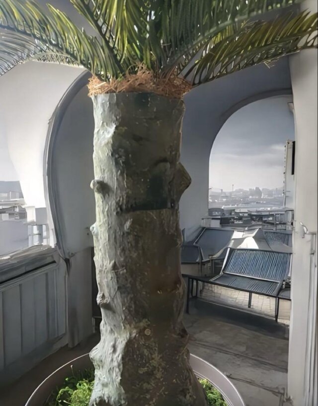 光触媒 人工観葉植物 ウォールグリーン フェイクグリーン フェニックス73 | iichi 日々の暮らしを心地よくするハンドメイドやアンティークのマーケットプレイス