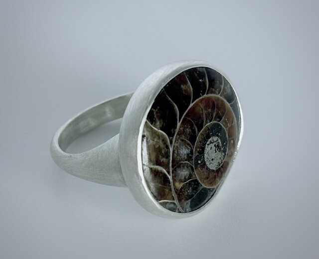 アンモナイトフォッシル リング | iichi 日々の暮らしを心地よくするハンドメイドやアンティークのマーケットプレイス