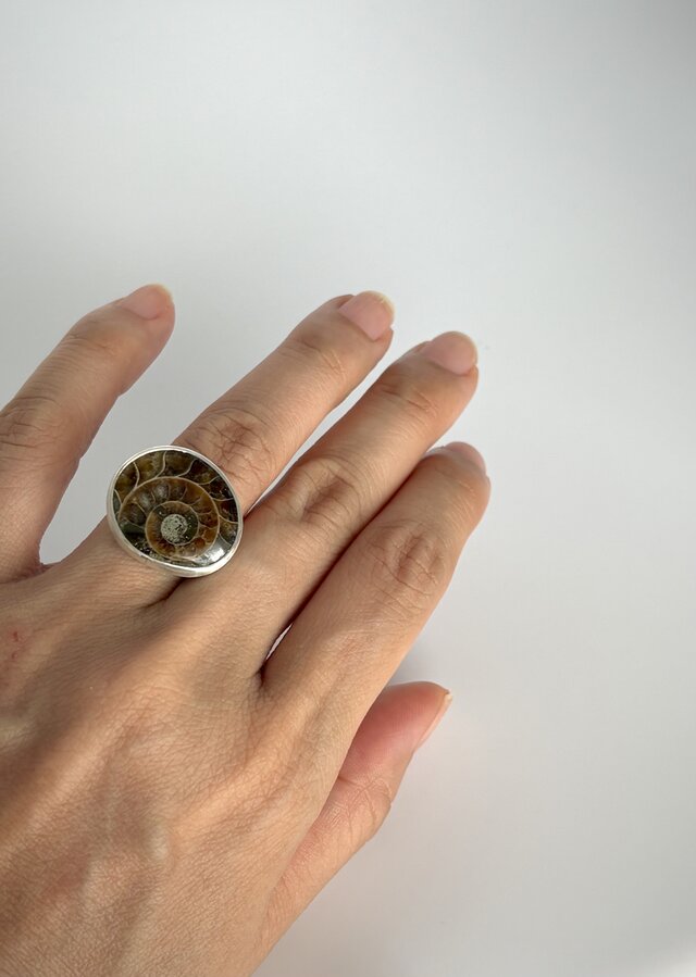 アンモナイトフォッシル リング | iichi 日々の暮らしを心地よくするハンドメイドやアンティークのマーケットプレイス