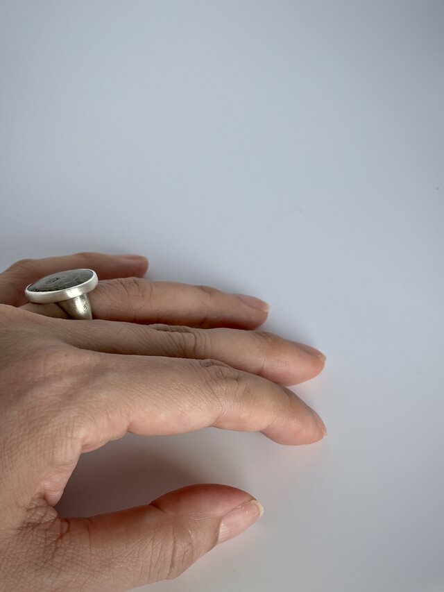 アンモナイトフォッシル リング | iichi 日々の暮らしを心地よくするハンドメイドやアンティークのマーケットプレイス