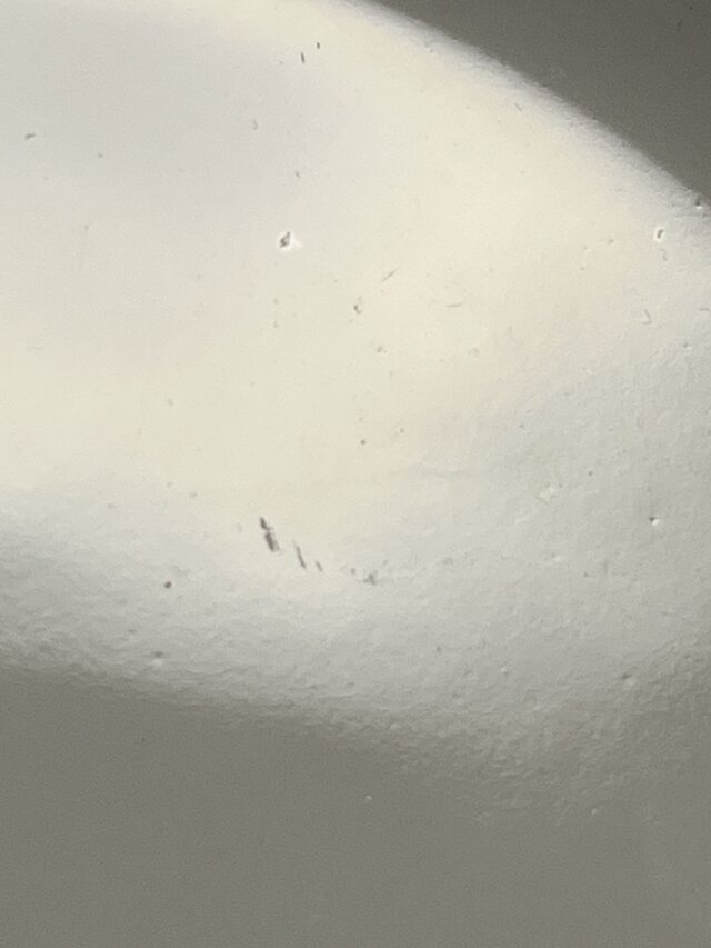 【rosenthal】Tapio Wirkkala デザイン composition （Sgrafitto）サイドプレート | iichi 日々の暮らしを心地よくするハンドメイドやアンティーク ...