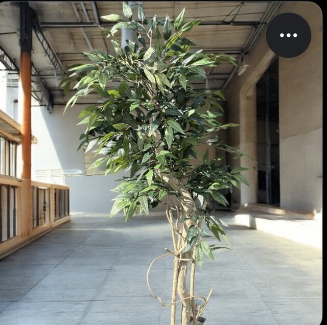 光触媒 人工観葉植物 ウォールグリーン フェイクグリーン イタリアンベンジャミン17365 | iichi 日々の暮らしを心地よくするハンドメイドやアンティークのマーケットプレイス