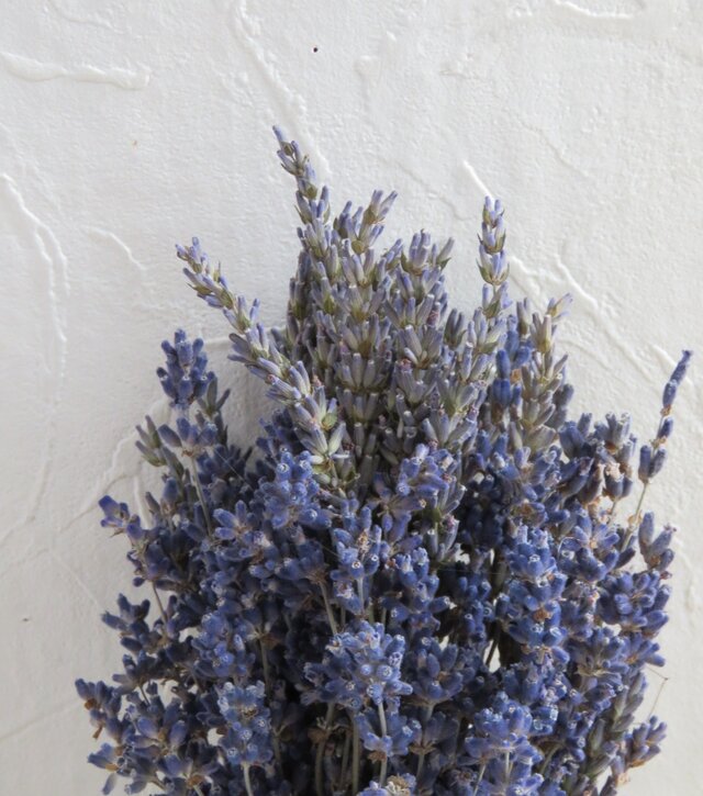 （再販2）ラベンダーのミニスワッグ’25 | iichi 日々の暮らしを心地よくするハンドメイドやアンティークのマーケットプレイス