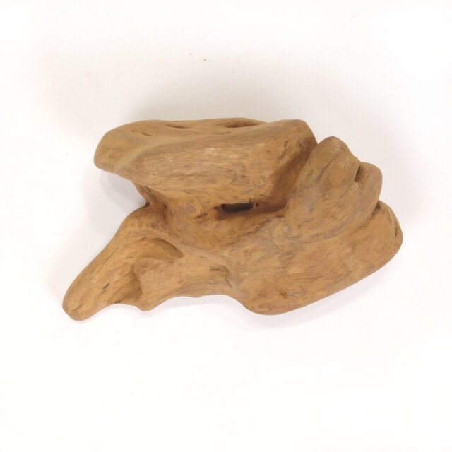 【温泉流木】コロリと置ける変形流木オブジェ004ココア 流木素材 インテリア素材 レイアウト素材 | iichi 日々の暮らしを心地よくするハンドメイドやアンティークのマーケットプレイス