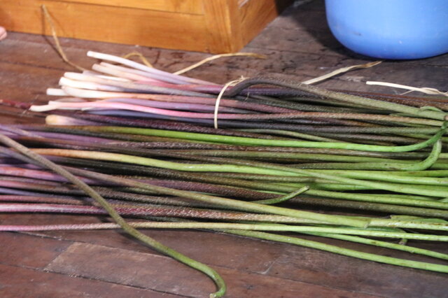 100%蓮ストール(OC bottom Candy design) | iichi 日々の暮らしを心地よくするハンドメイドやアンティークのマーケットプレイス