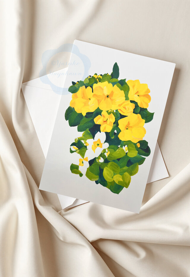 （30）黄色いプリムラの花 ポストカード 3枚セット | iichi 日々の暮らしを心地よくするハンドメイドやアンティークのマーケットプレイス