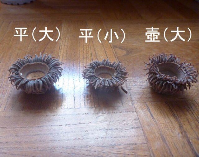 【2025年収穫】アベマキの帽子（壺） 15個 | iichi 日々の暮らしを心地よくするハンドメイドやアンティークのマーケットプレイス