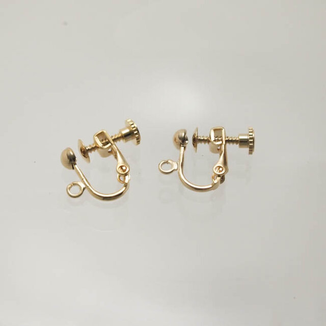 long leaf (S) ピアス sv ルビー【FP226】(金具変更可) | iichi 日々の暮らしを心地よくするハンドメイドやアンティークのマーケットプレイス