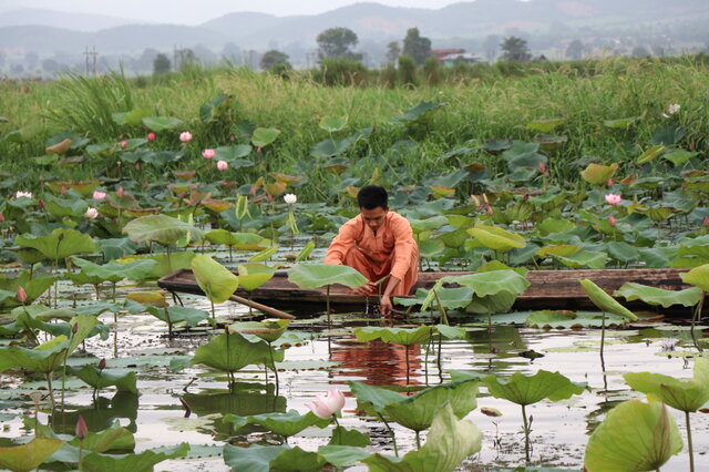 100% 蓮糸の手編みレース(ストール) | iichi 日々の暮らしを心地よくするハンドメイドやアンティークのマーケットプレイス
