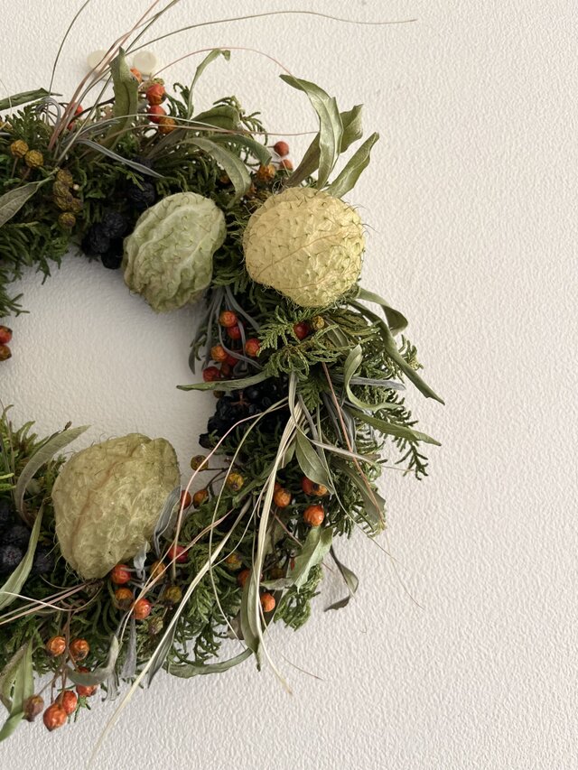 風船トウワタと野薔薇の実のリース | iichi 日々の暮らしを心地よくするハンドメイドやアンティークのマーケットプレイス