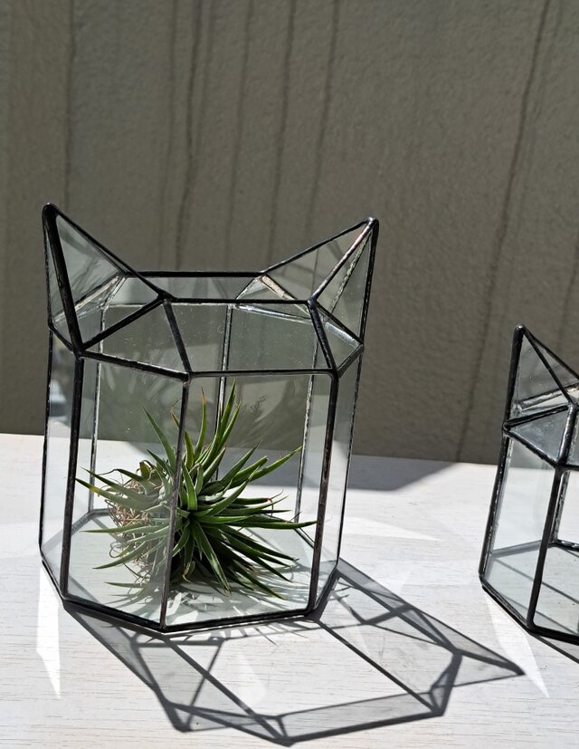 Cat igloo / terrarium / Lsize | iichi 日々の暮らしを心地よくするハンドメイドやアンティークのマーケットプレイス