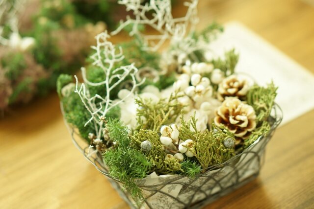 籠の中のgreenの世界 | iichi 日々の暮らしを心地よくするハンドメイドやアンティークのマーケットプレイス