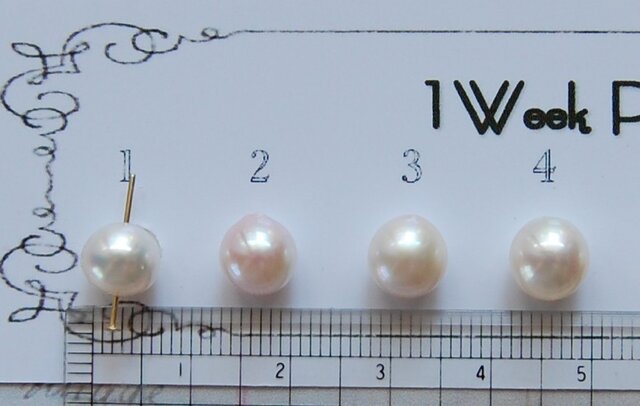 真珠7個セット（7.5ミリサイズ）n.1500-54 | iichi ハンドメイド・アンティーク・食品・ギフト・手作り